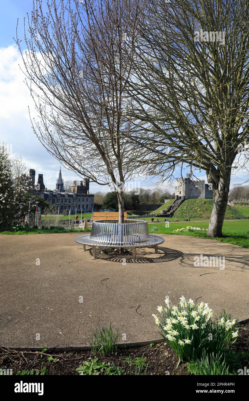 Modern design steel, circular, outdoor bench, Cardiff Castle. March ...