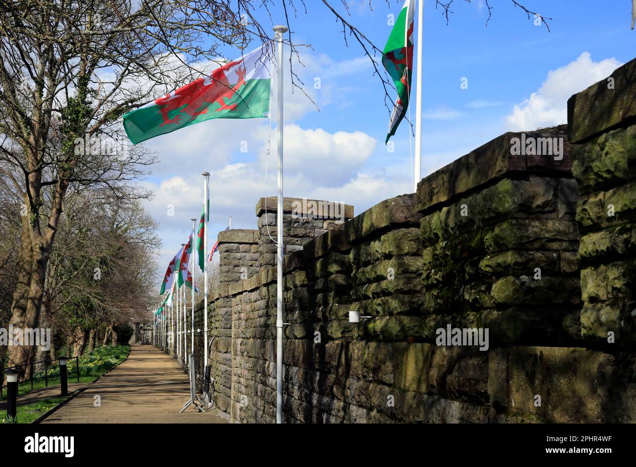 Cardiff Castle walls and walkway with Welsh flags and union flag in a ...