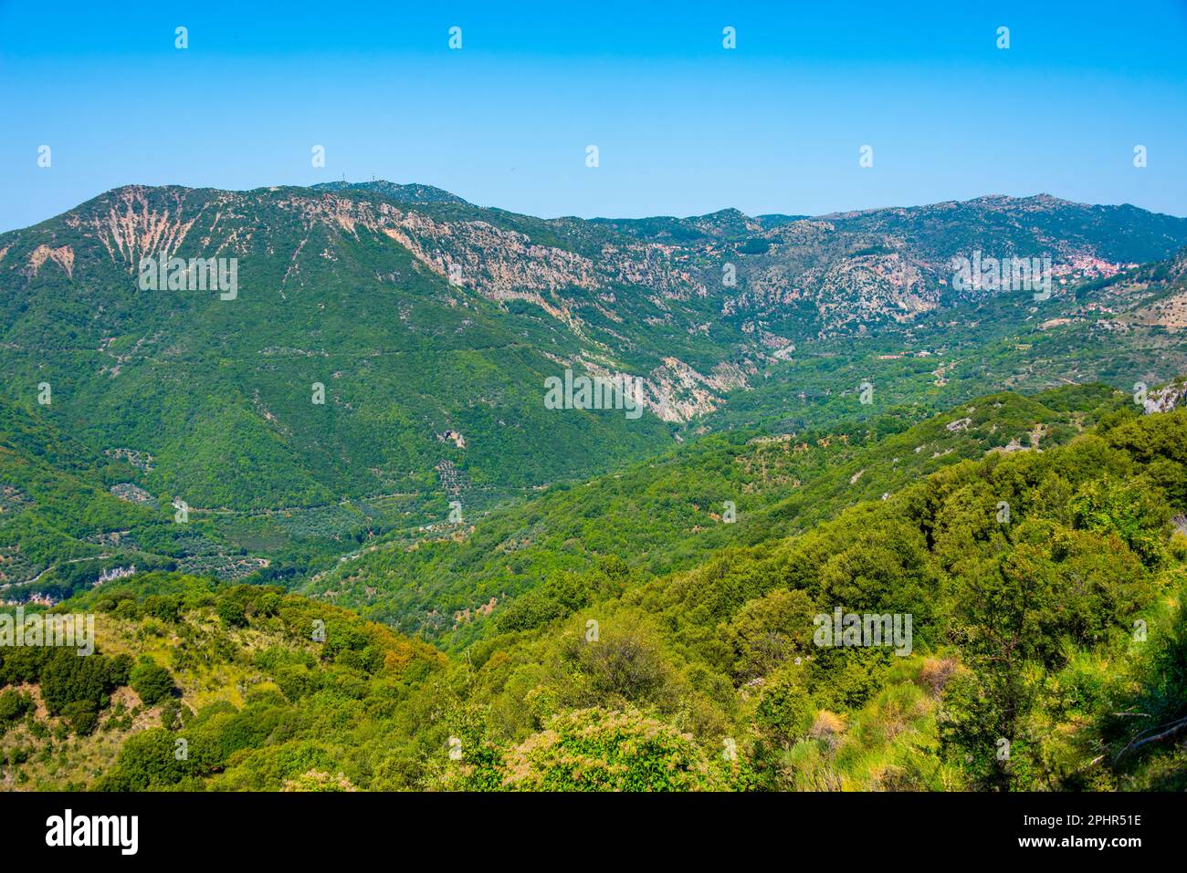 Panorama view of Lousios gorge in Greece Stock Photo - Alamy