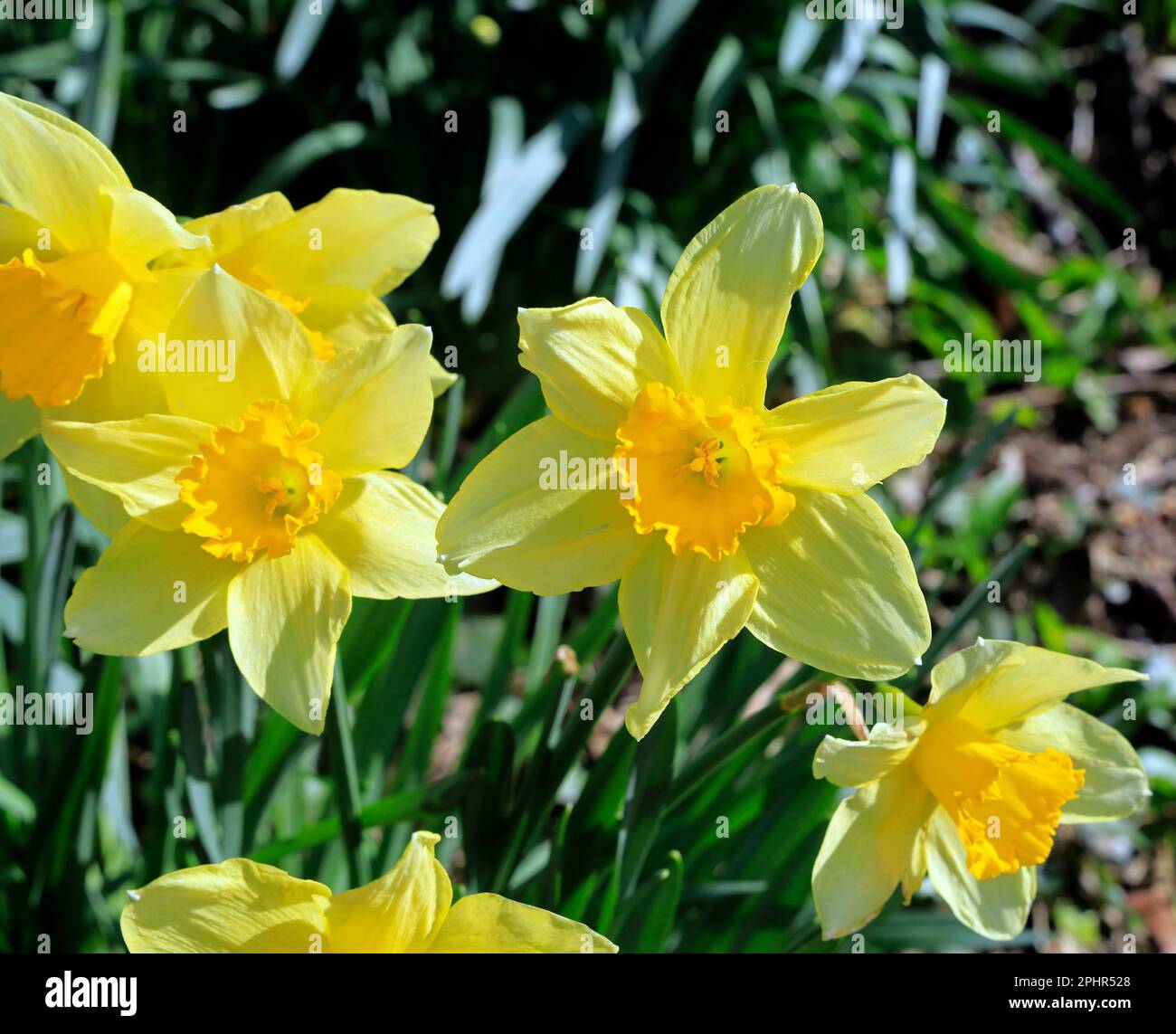 2023 spring hi-res stock photography and images - Alamy