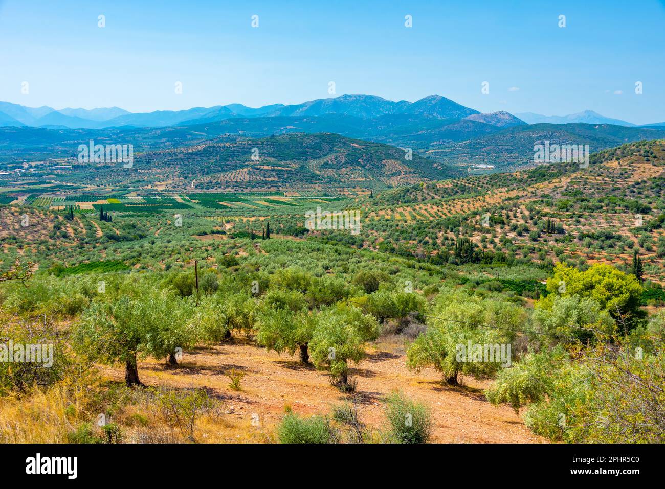 Agricultural landscape of Arcadia region of Peloponnese peninsula in ...