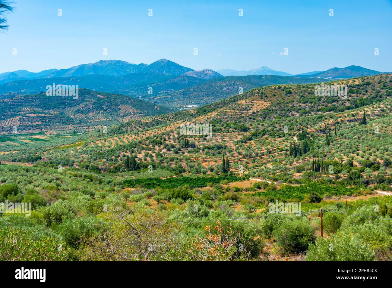 Agricultural landscape of Arcadia region of Peloponnese peninsula in ...