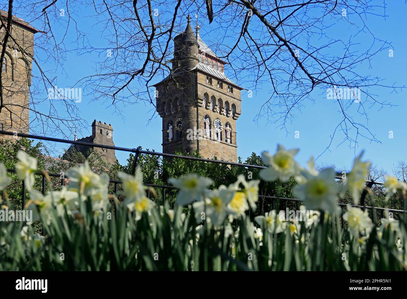 Daffodils castle tower spring hi-res stock photography and images - Alamy