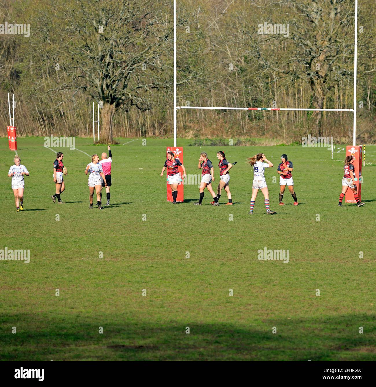 Women's rugby match, Pontcanna Fields Urdd / WRU event. March 2023 ...
