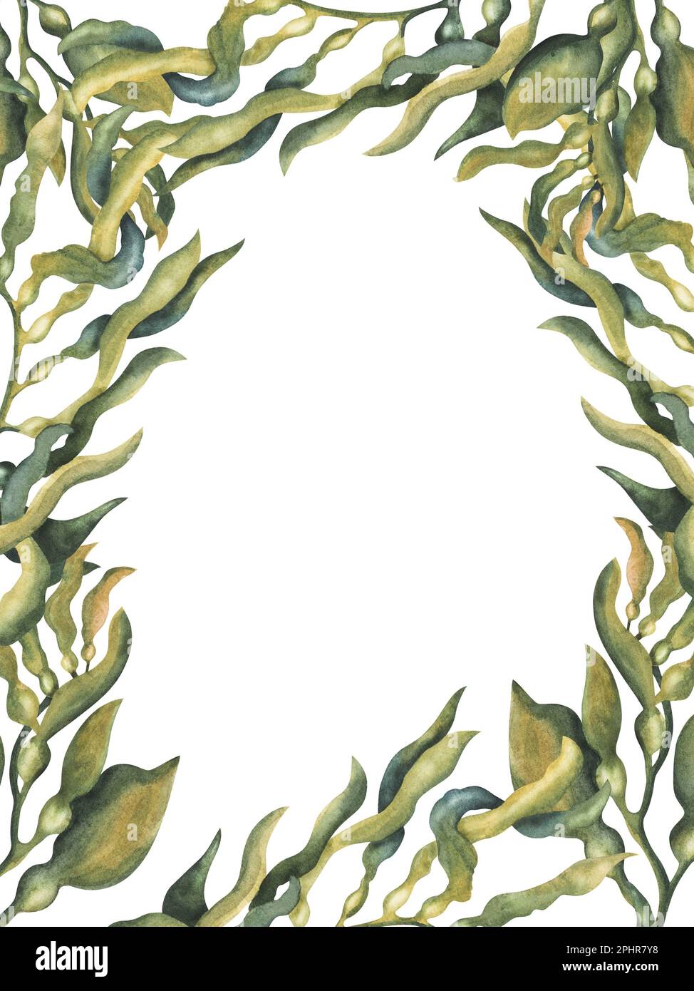 Frame of seaweed, coral and shells. Hand-drawn watercolor illustration ...