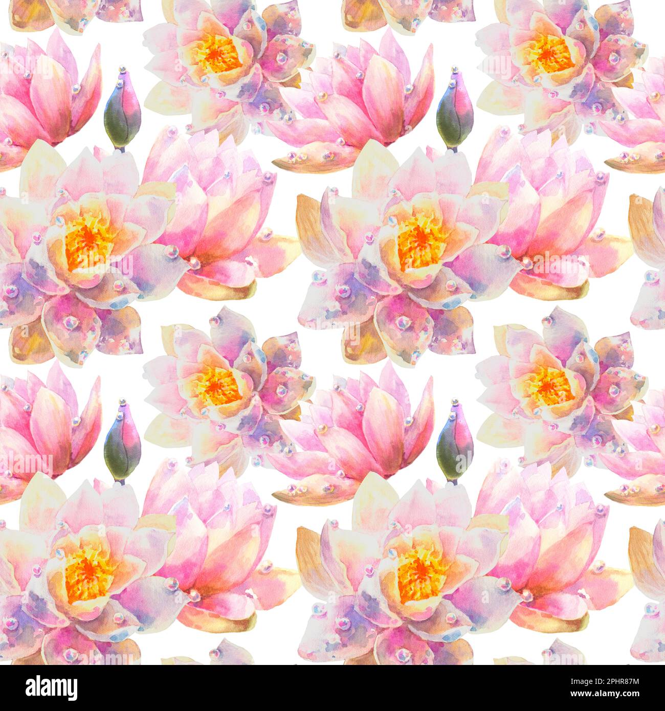 Watercolor Seamless Pattern with Romantic flowers of water lily on ...
