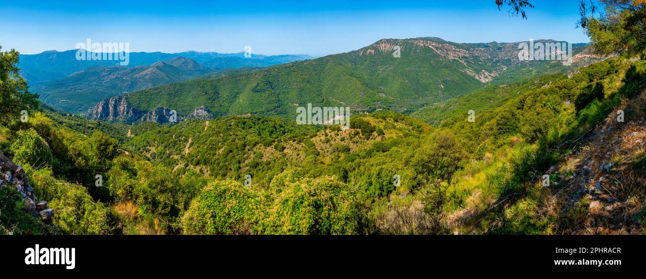 Panorama view of Lousios gorge in Greece Stock Photo - Alamy