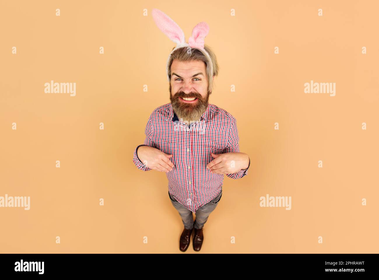 Celebration bunny hi-res stock photography and images - Alamy