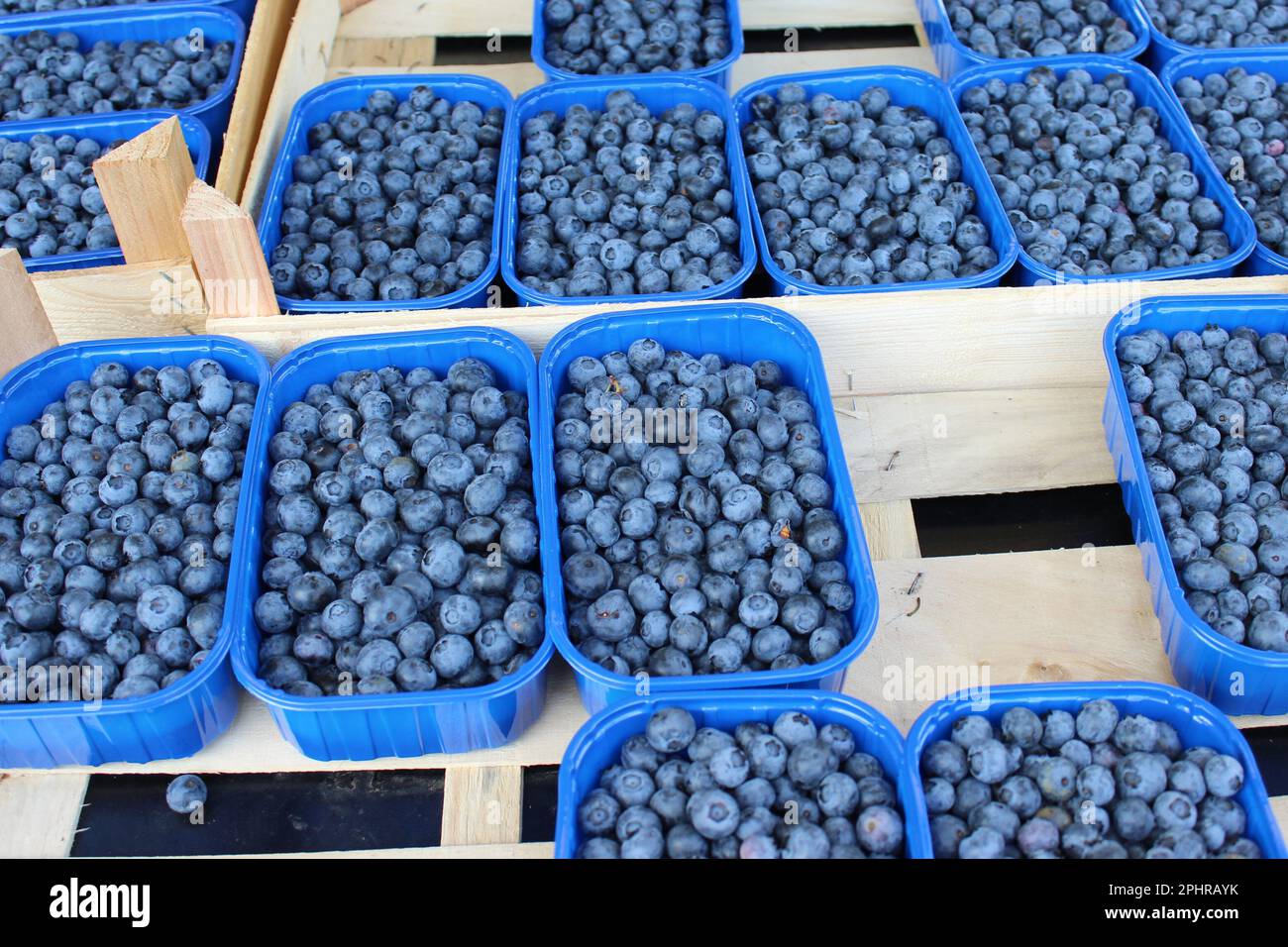 Berries at plastic boxes hi-res stock photography and images - Alamy