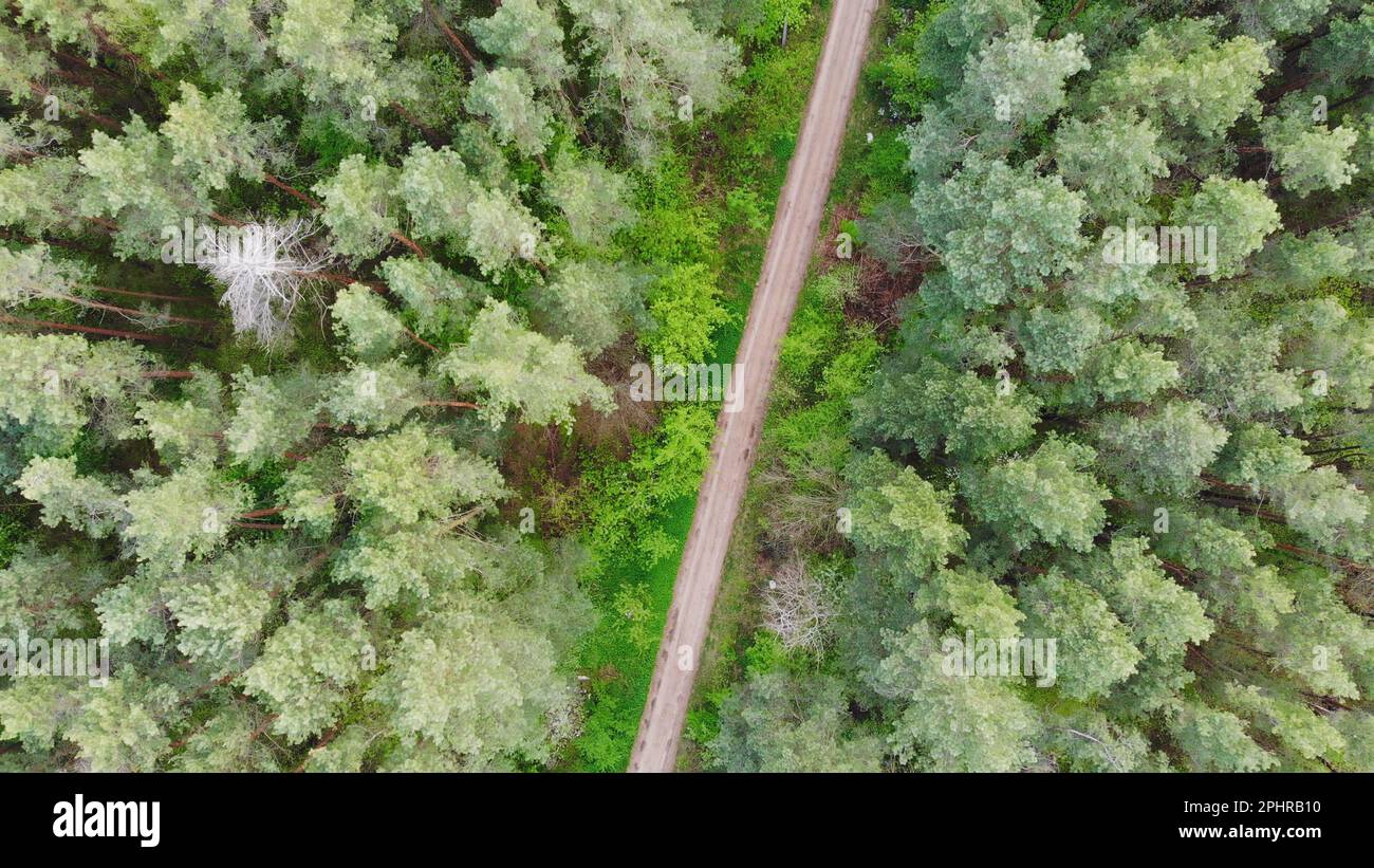 A straight forest road. View from a drone Stock Photo - Alamy