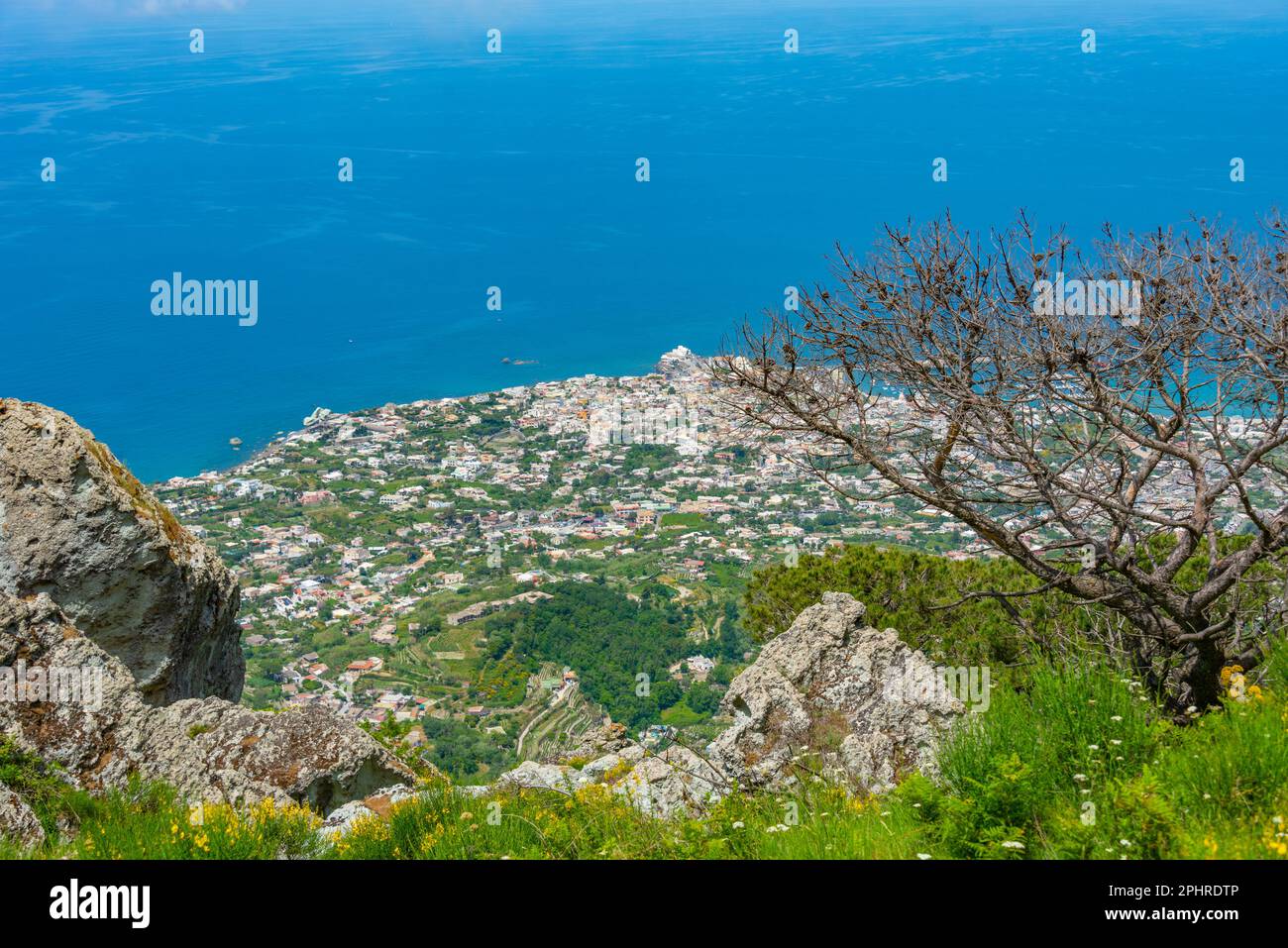 Panorama view of Italian city Forio at Ischia island Stock Photo - Alamy