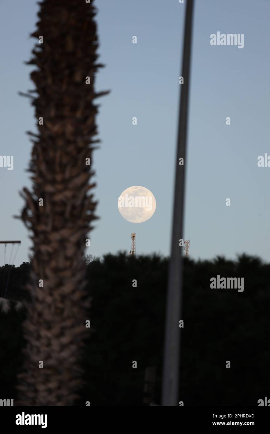 full moon among palm trees Stock Photo - Alamy