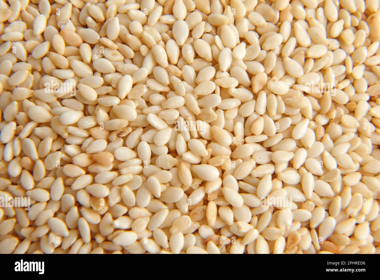 Sesame seeds for bakery close-up. Background of scattered sesame seeds ...