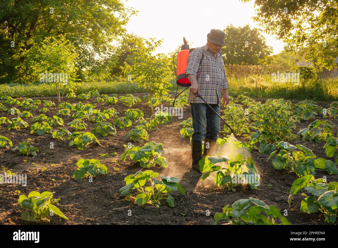 Farmer spraying pesticide sprayer garden farm vegetable garden spraying ...