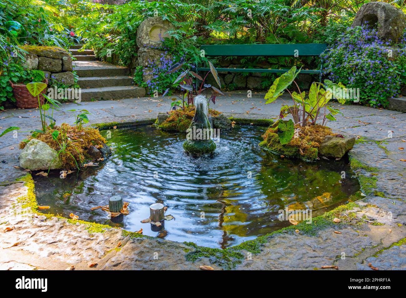 Naples botanical gardens italy hi-res stock photography and images - Alamy