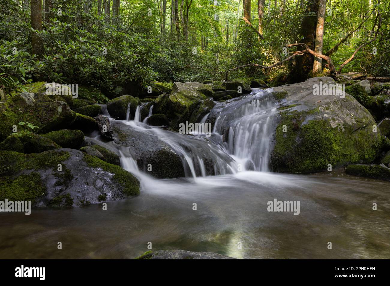 Water flowing down a stream in the middle of a forrest in the mountain ...