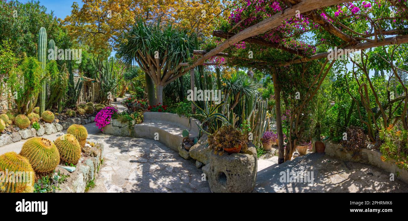 Succulents and cactuses at Giardini Ravino gardens at Forli, Ischia ...