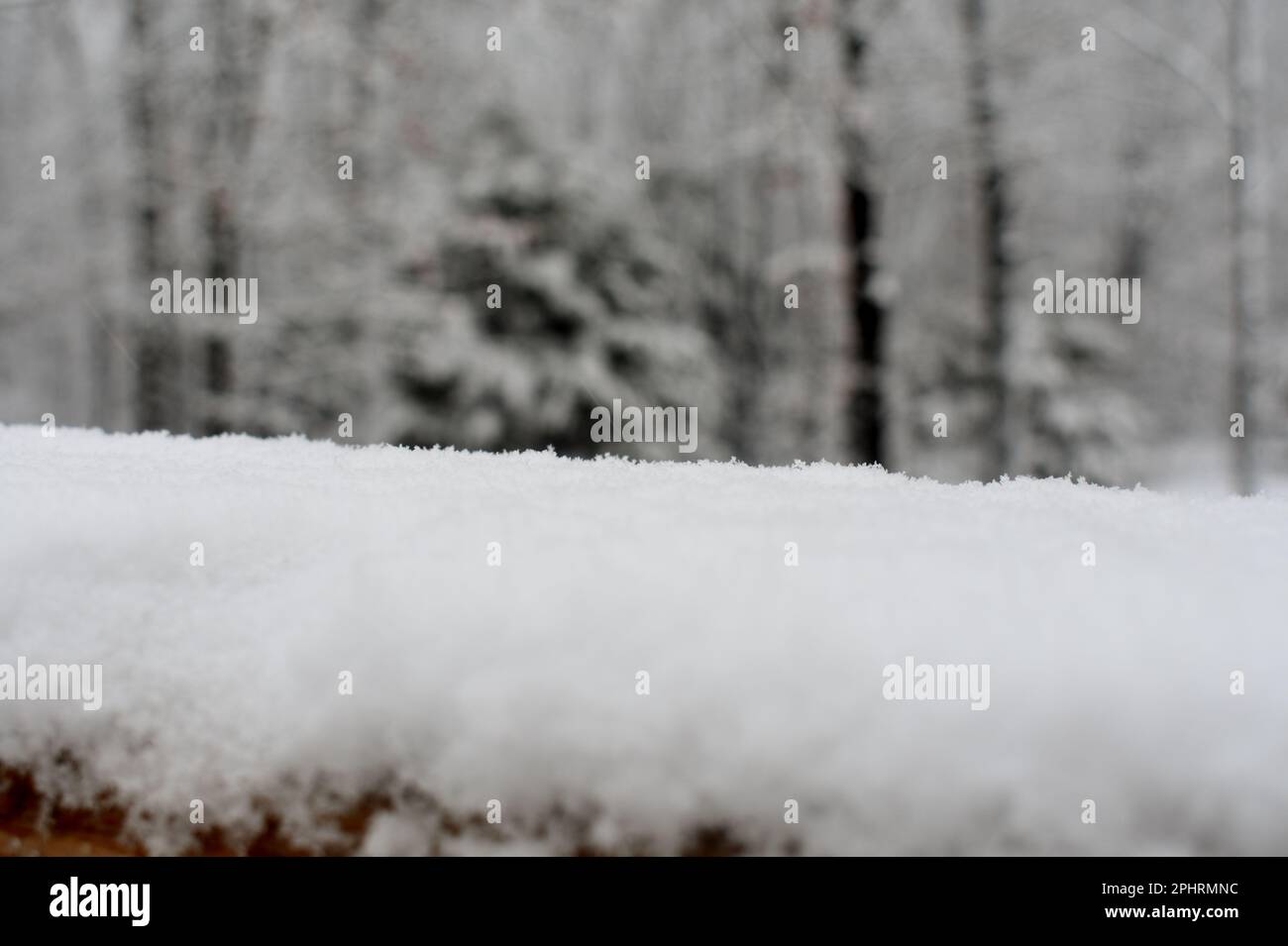 Snow gathered on a porch railing in the middle of winter. Wooded area ...