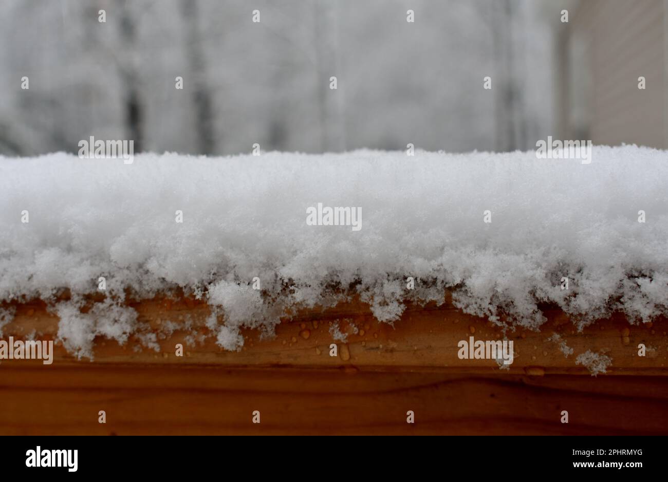 Depth of winter hi-res stock photography and images - Alamy