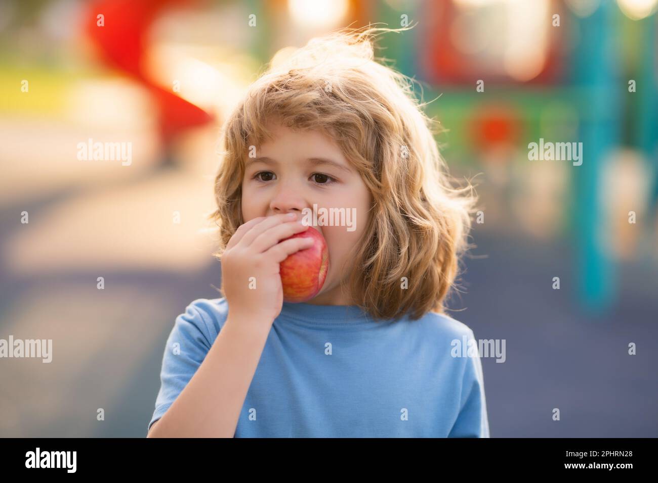 Child with apple outdoor. Kid picking apples. Children healthy food ...