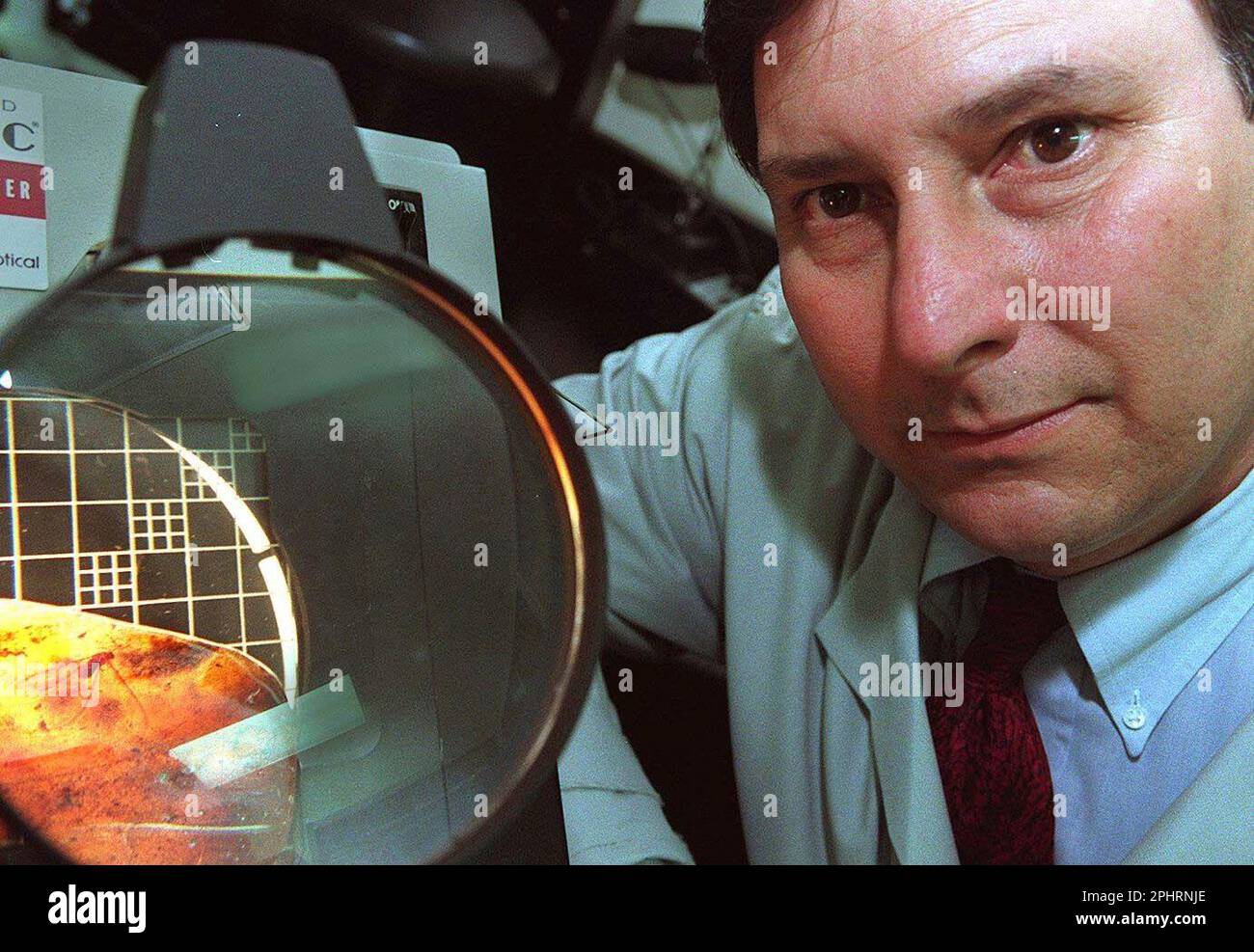 Scientist Raul Cano helped revive one-clled bacteria. Ancient Bacteria ...