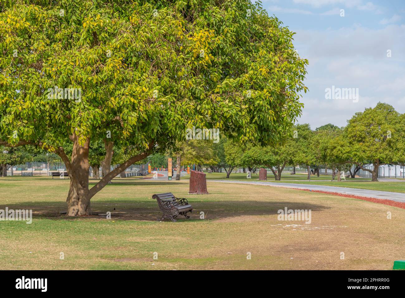 Sunny day at the Aspire park in Doha Stock Photo - Alamy