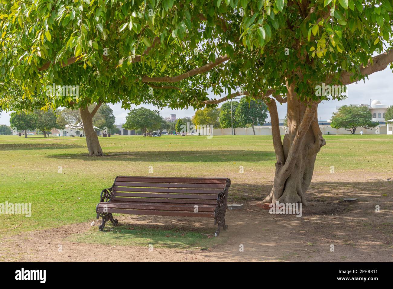 Aspire park in doha hi-res stock photography and images - Alamy