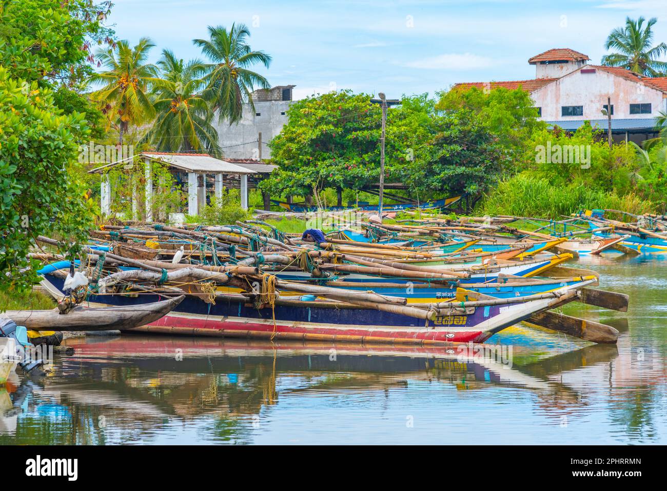 traditional catamarans mooring at the shore of Negombo lagoon in Sri ...