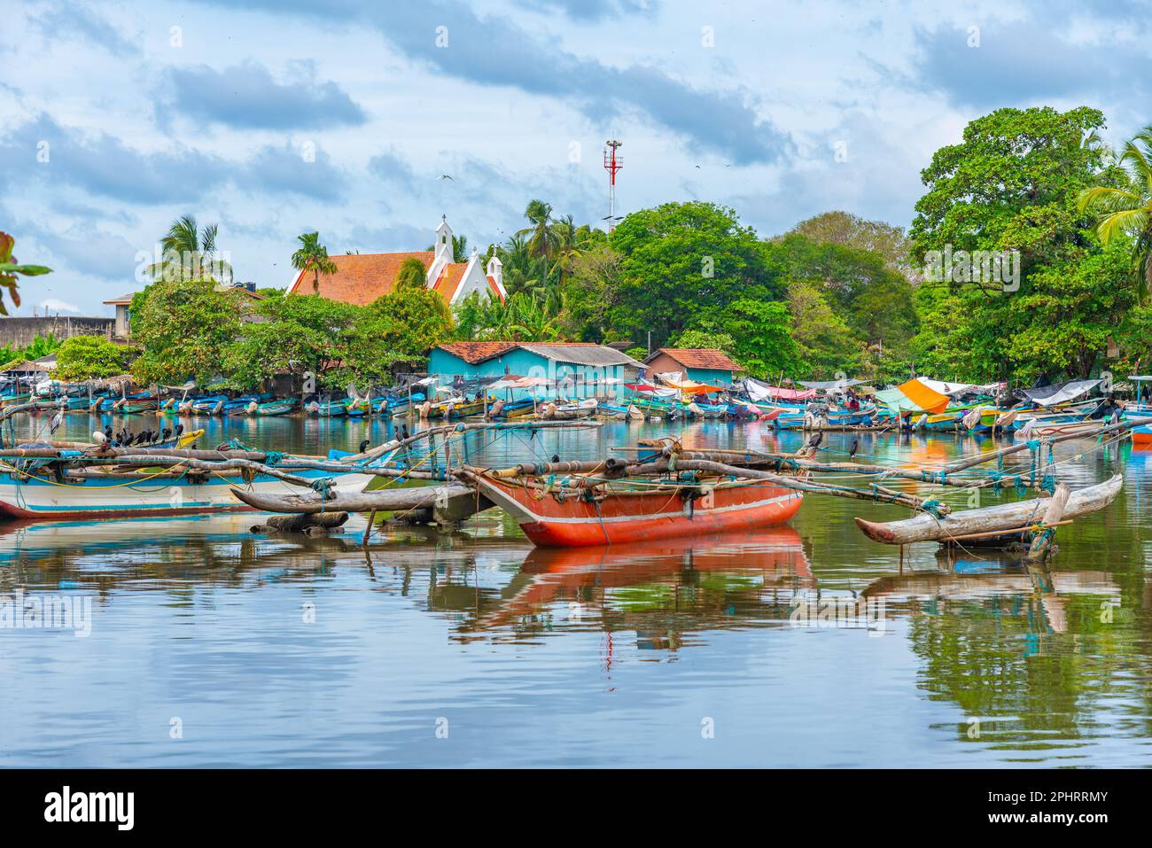 traditional catamarans mooring at the shore of Negombo lagoon in Sri ...