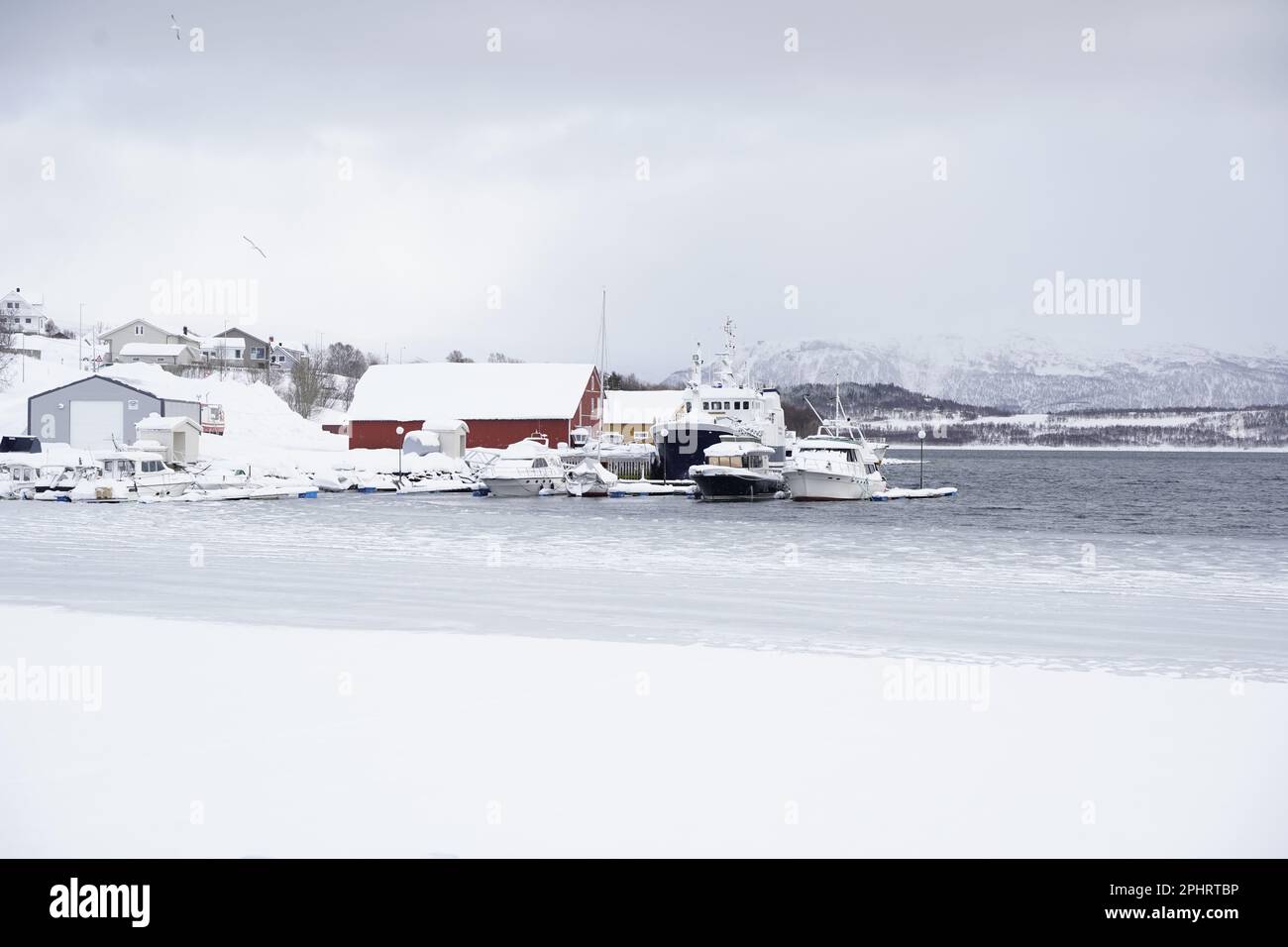 Snowy nature landscape view in tromso Stock Photo - Alamy