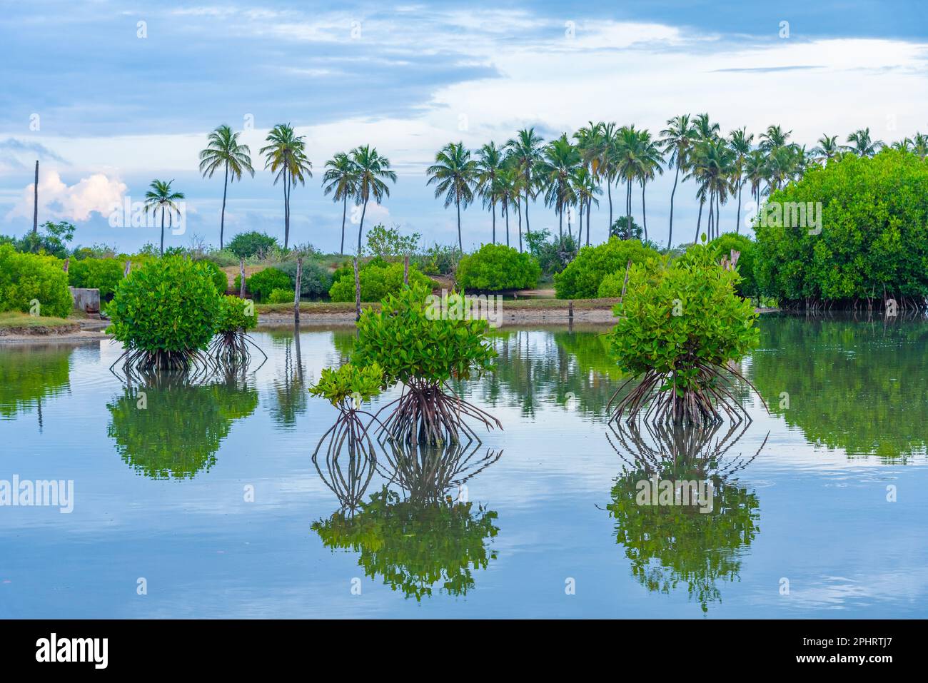 View of Kalpitiya lagoon in Sri Lanka Stock Photo - Alamy
