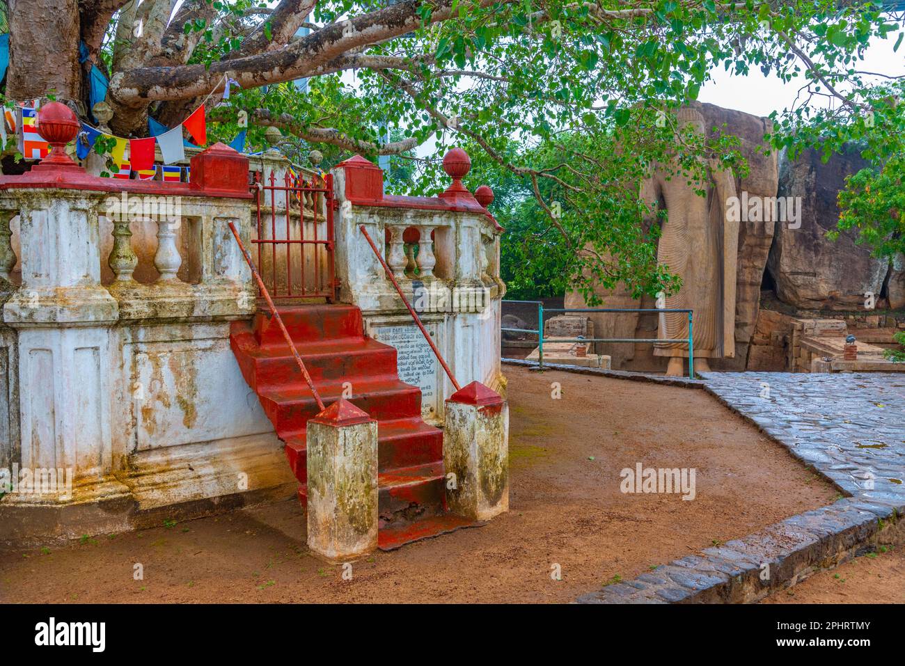 Aukana temple avukana sri lanka hi-res stock photography and images - Alamy