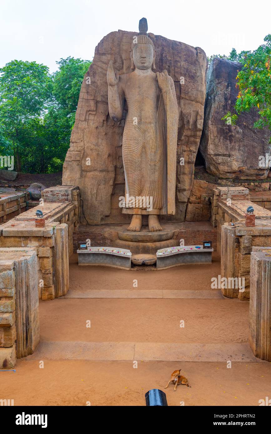 Aukana buddha statue in Sri Lanka Stock Photo - Alamy