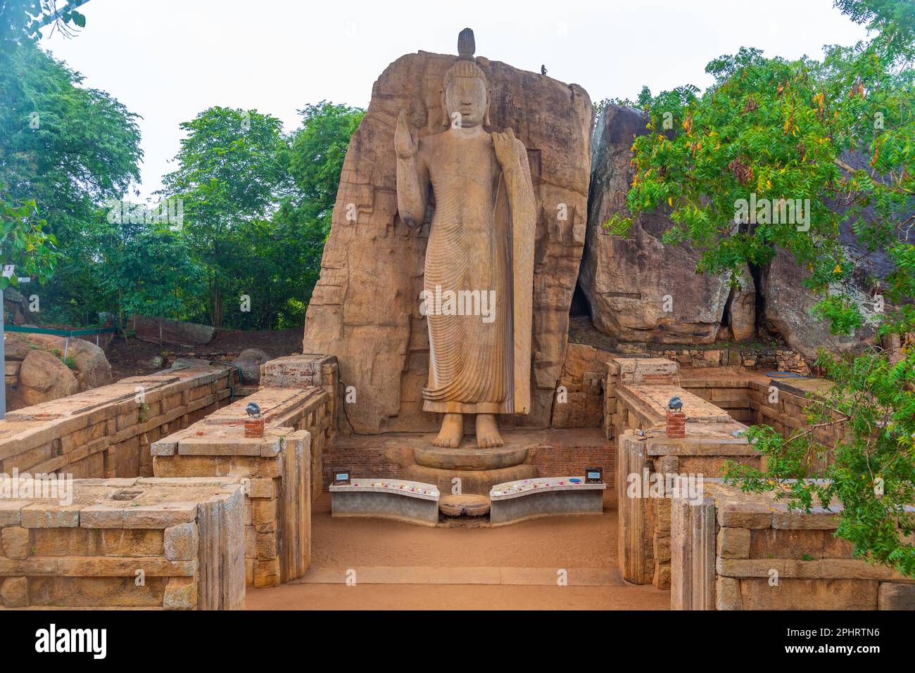 Aukana buddha statue in Sri Lanka Stock Photo - Alamy