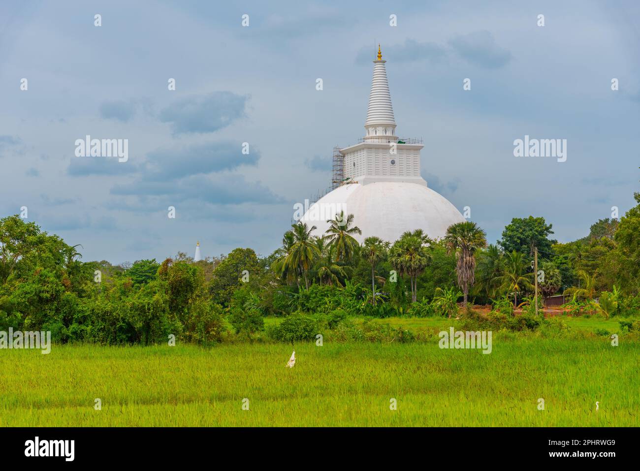 Sanda Hiru Seya stupa viewed from Isurumuniya Rajamaha Viharaya temple ...