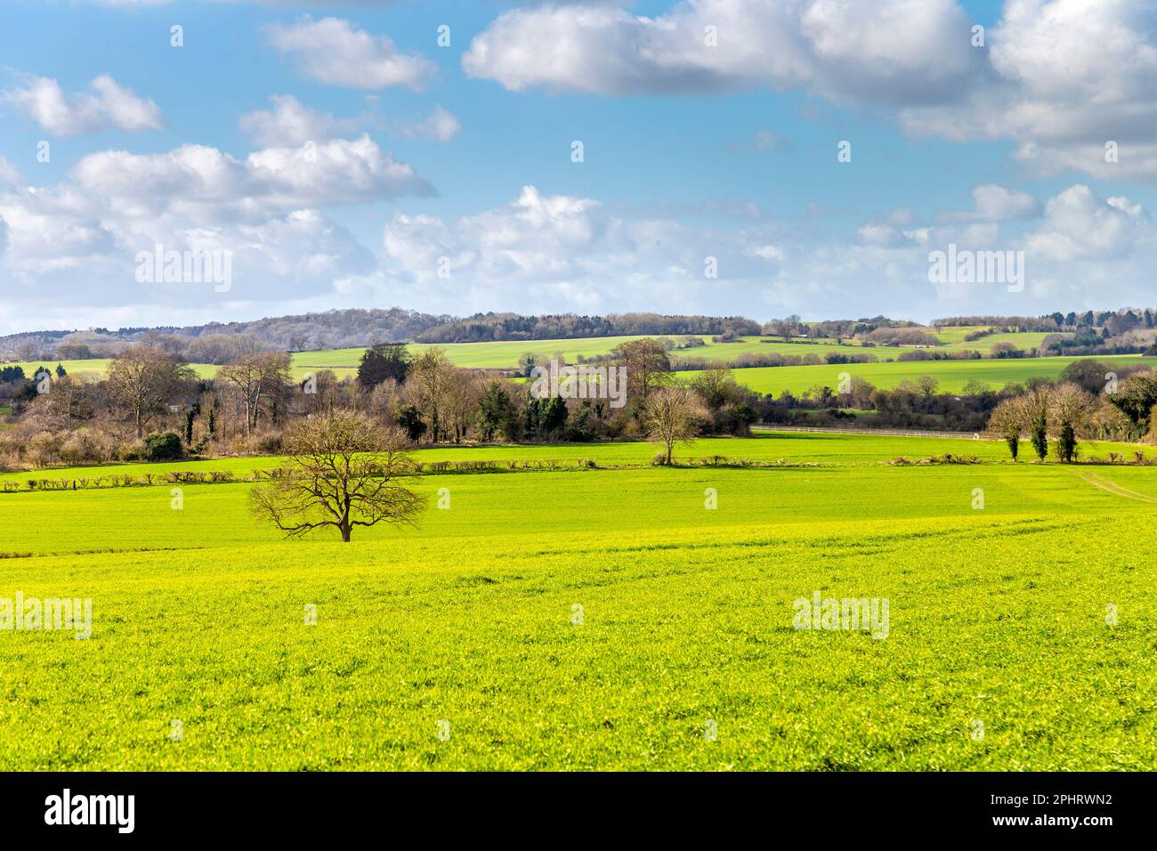Fields and countryside surrounding Hitchin and Oughtonhead Nature ...