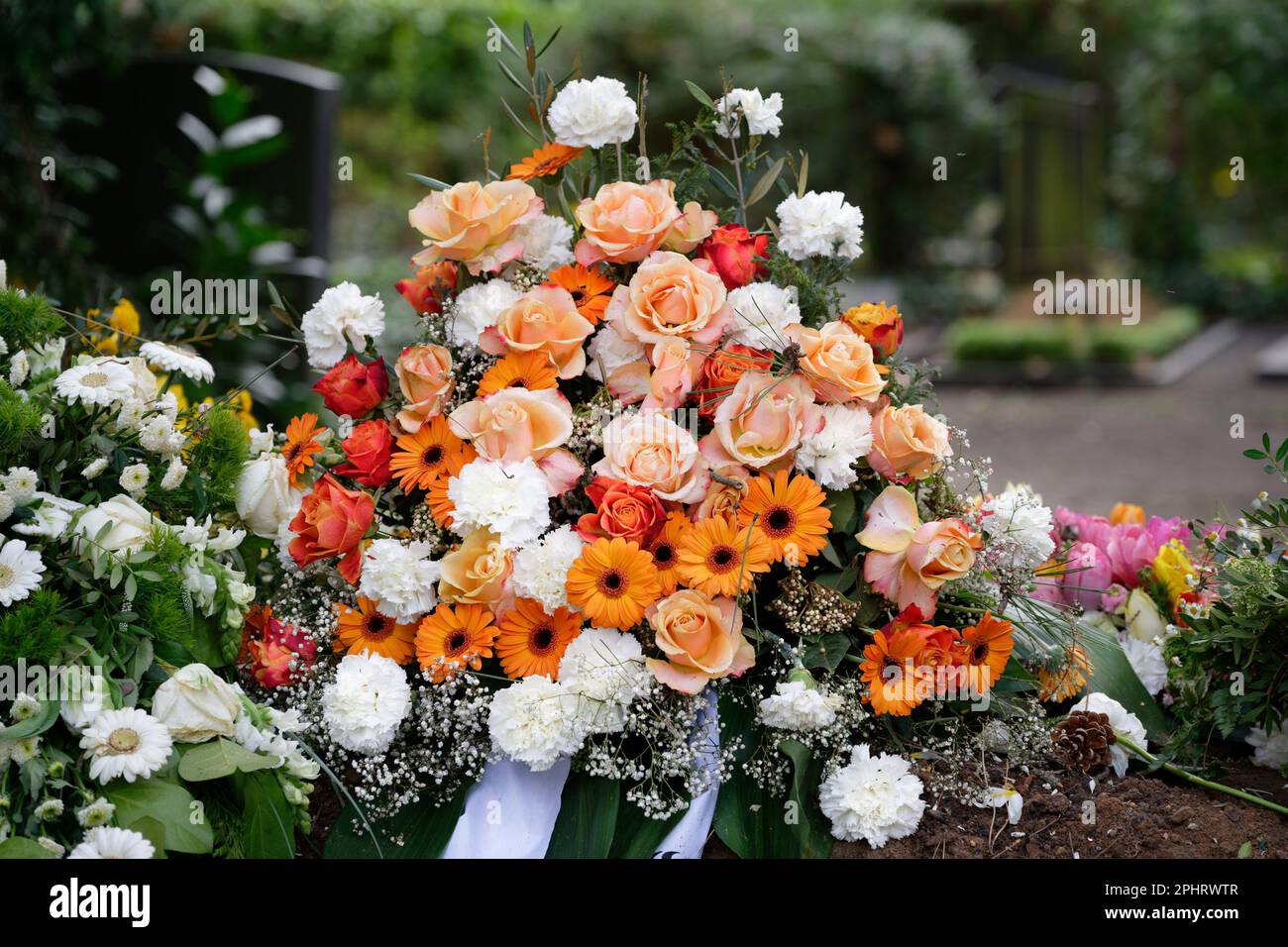 stylish funeral flowers of white carnations, orange gerbera and red and pink roses on a grave ...