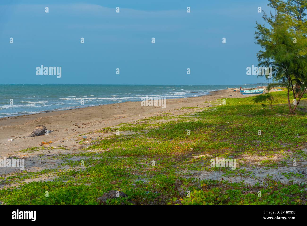 Sunset over Casuarina beach near jaffna, Sri Lanka Stock Photo - Alamy