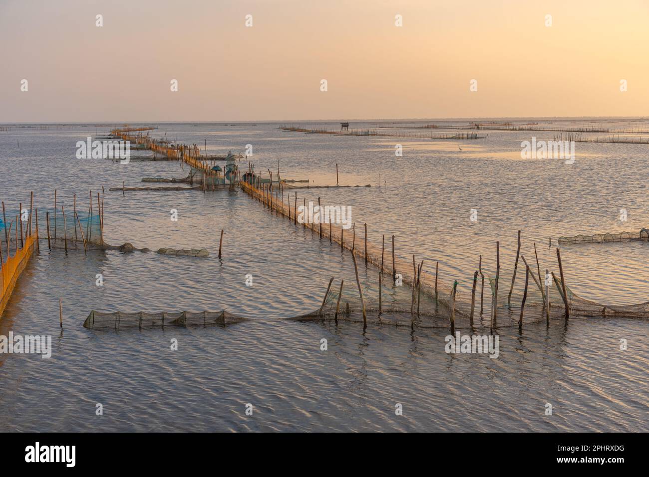 Fishing infrastructure at the shallow lagoons near Jaffna, Sri Lanka ...