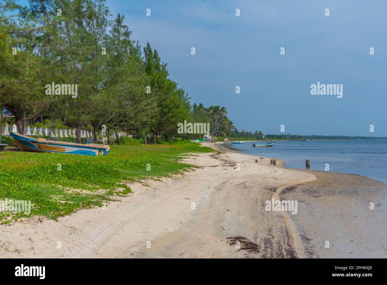 Jaffna sri lanka beach hi-res stock photography and images - Alamy