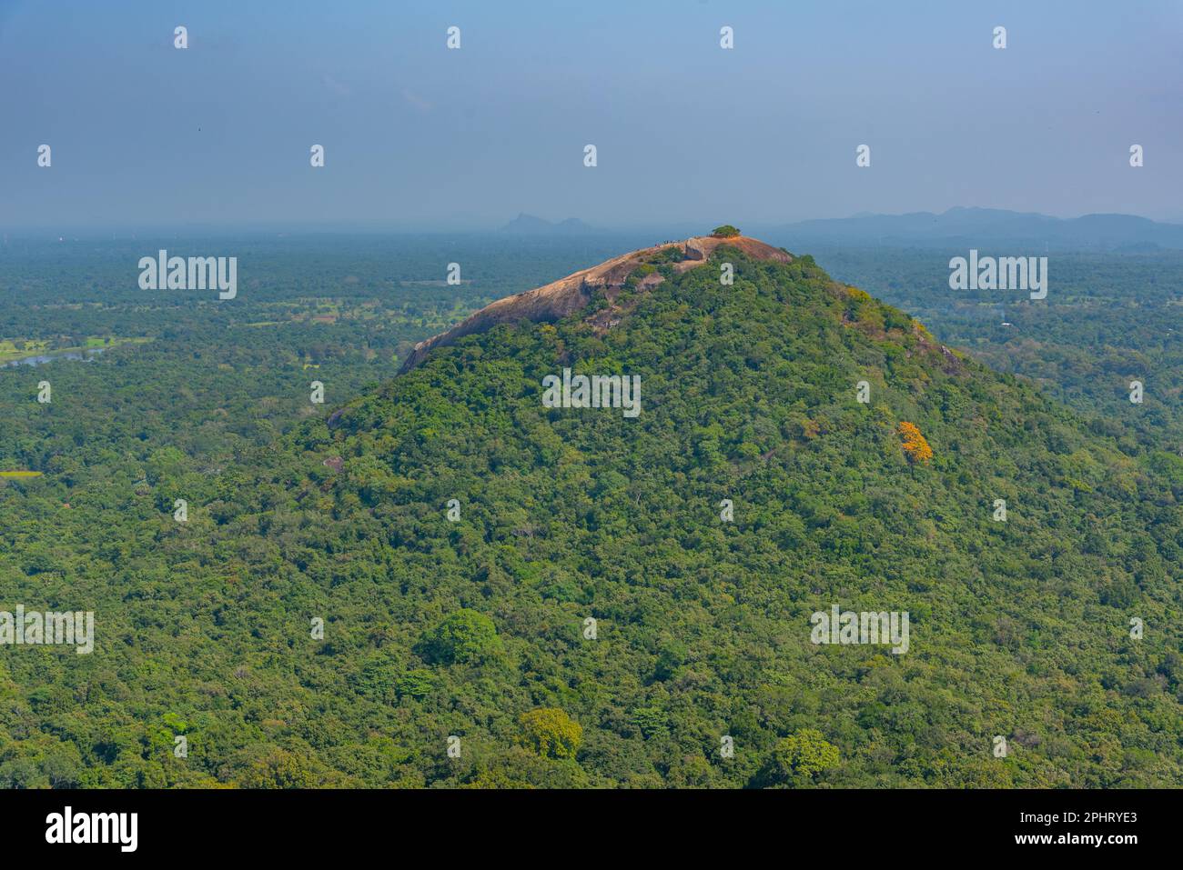 Pidurangala rock near Sigiriya rock fortress, Sri Lanka Stock Photo - Alamy