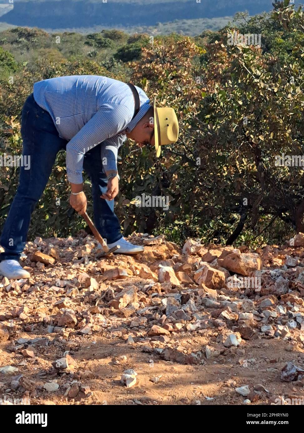 Latin man with hat and miner's pick hammer works as a geologist ...