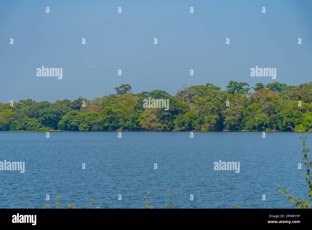 Sri lanka polonnaruwa wild hi-res stock photography and images - Alamy