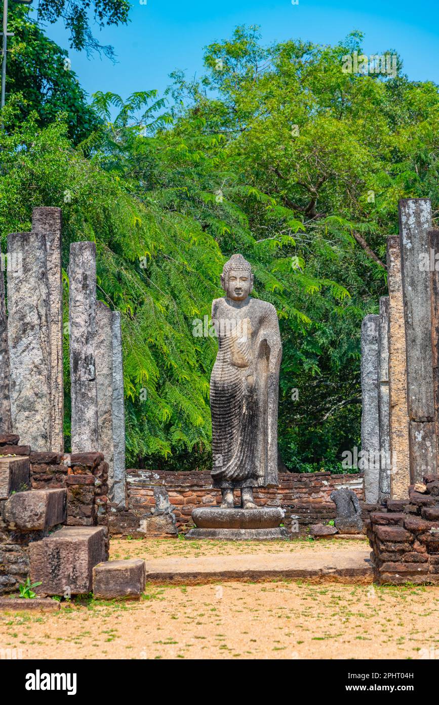 Statues at Atadage at the quadrangle of Polonnaruwa ruins, Sri Lanka ...