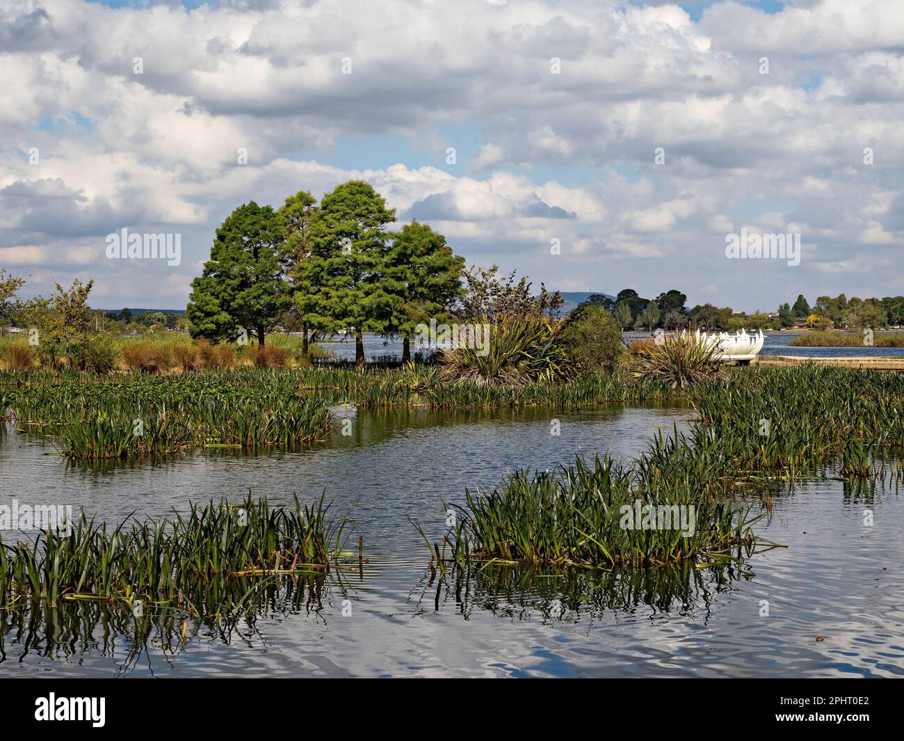 Ballarat Australia / The Swan Pool at Lake Wendouree Stock Photo - Alamy