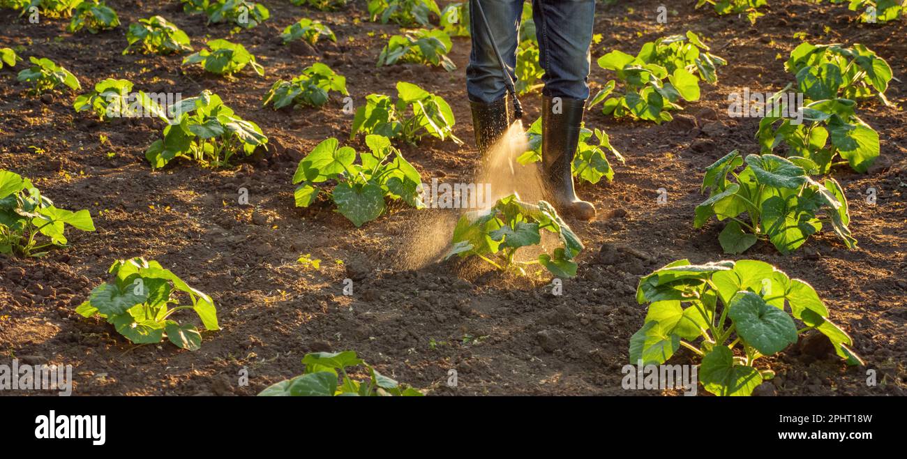 Plantation field working farmer spraying pesticide sprayer garden farm ...