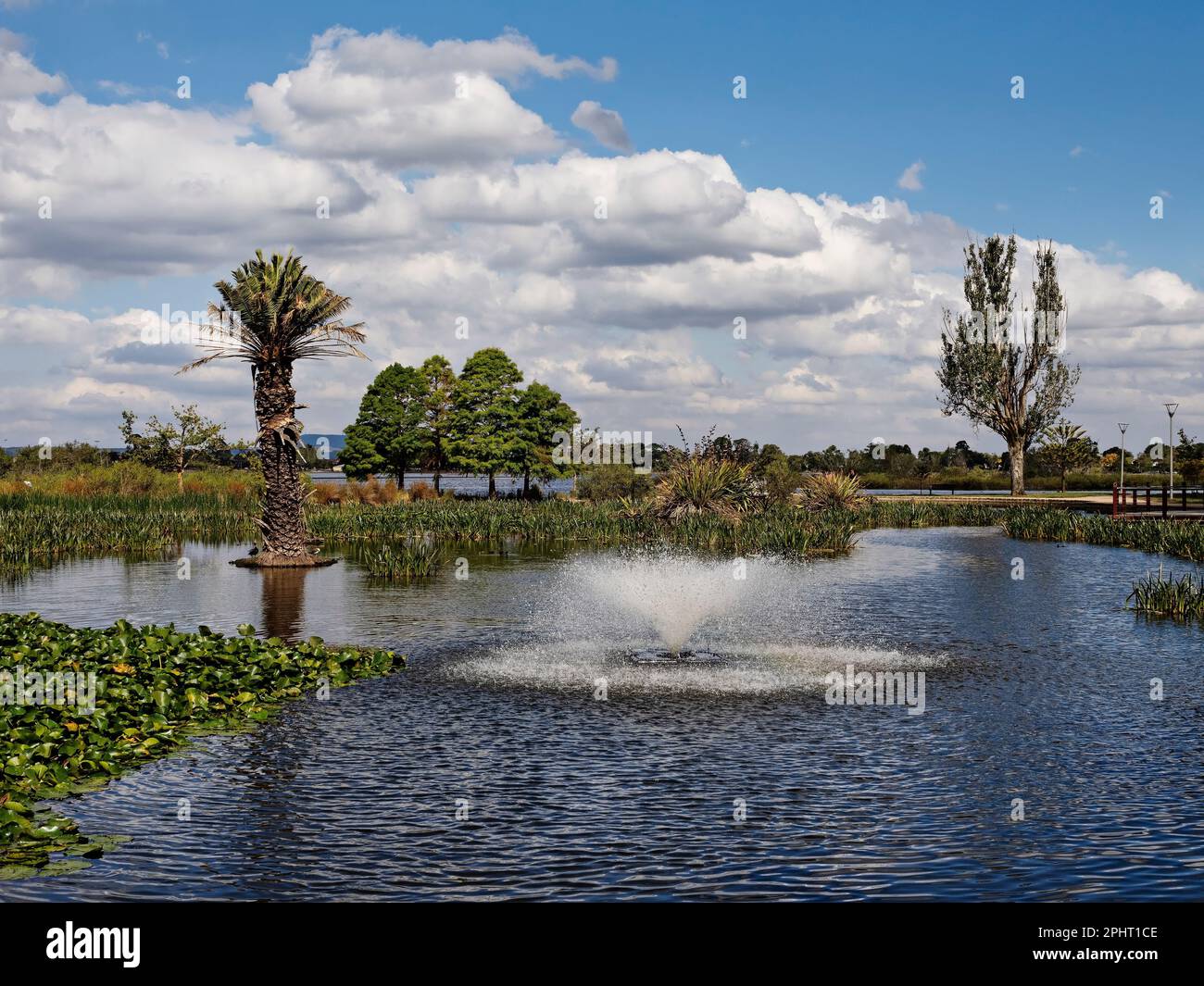 Ballarat Australia / The Swan Pool at Lake Wendouree Stock Photo - Alamy