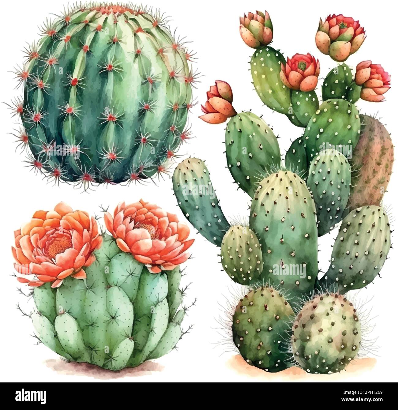 Realistic cactus succulent set hi-res stock photography and images - Alamy