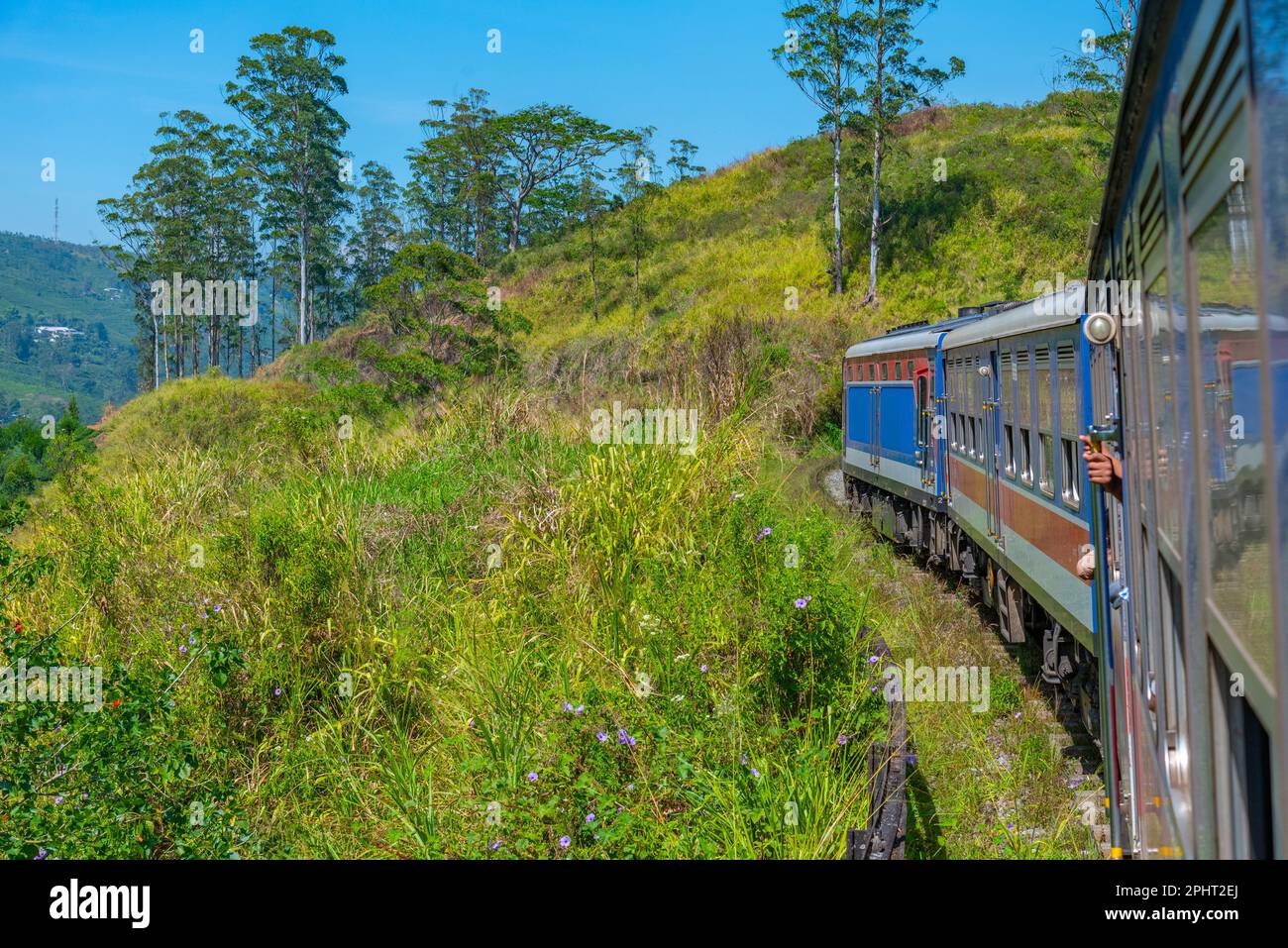 Train winding on a hillside track among tea plantations at Sri Lanka ...