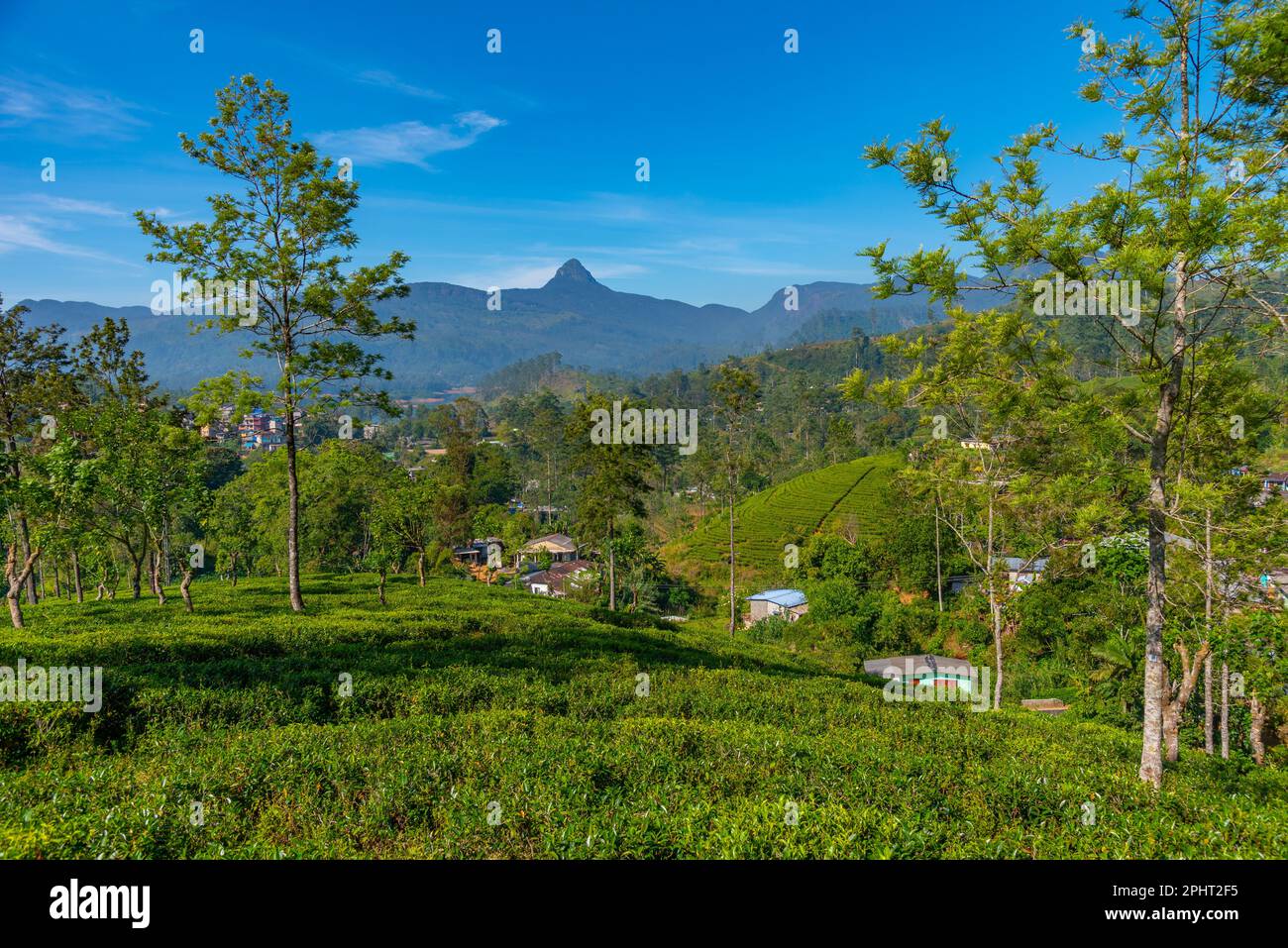 Sri pada mountain hi-res stock photography and images - Alamy